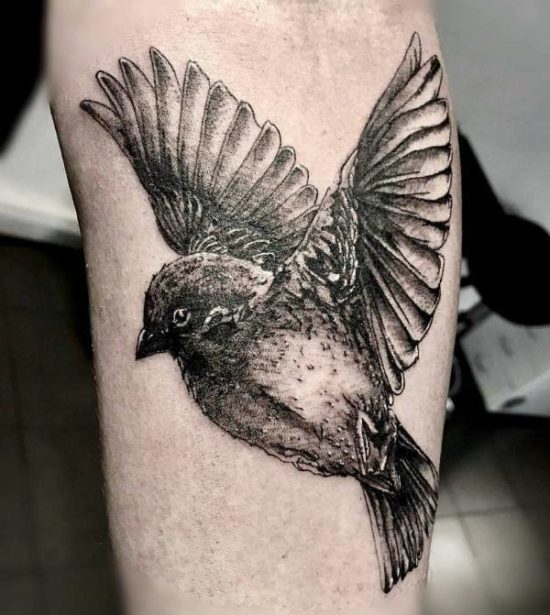 Tatuaż wróbel - znaczenie, historia, 20 zdjęć